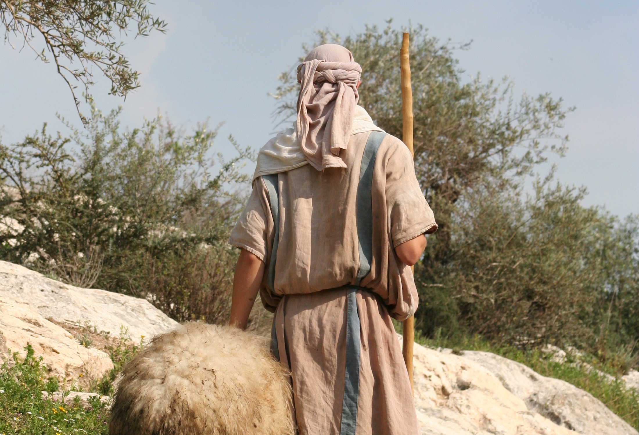 Weekly Devotional: The Right Paths - CBN Israel