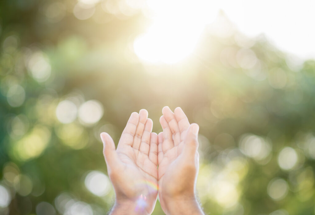 Weekly Devotional: Freed to Serve - CBN Israel