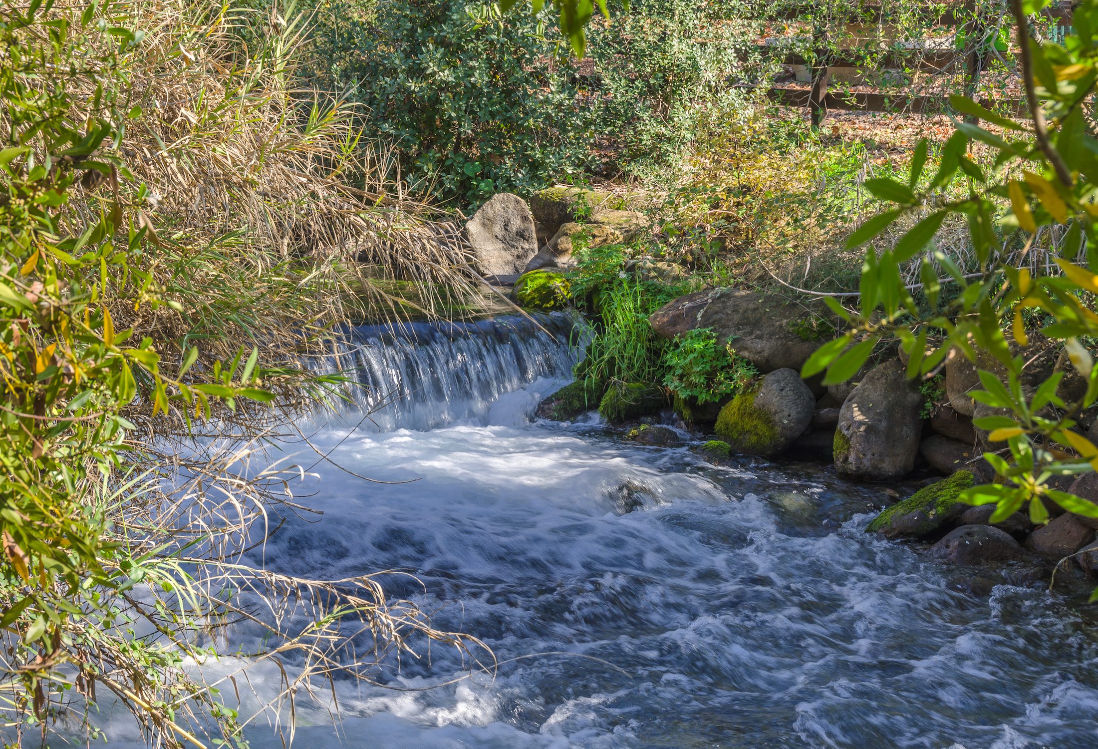 Weekly Devotional: Rivers of Living Water - CBN Israel