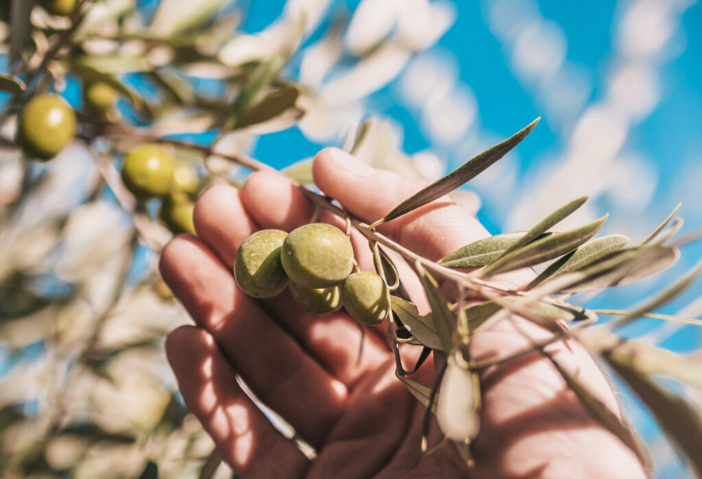 Weekly Q&A: What did Jesus’ early followers believe about Gentiles ...