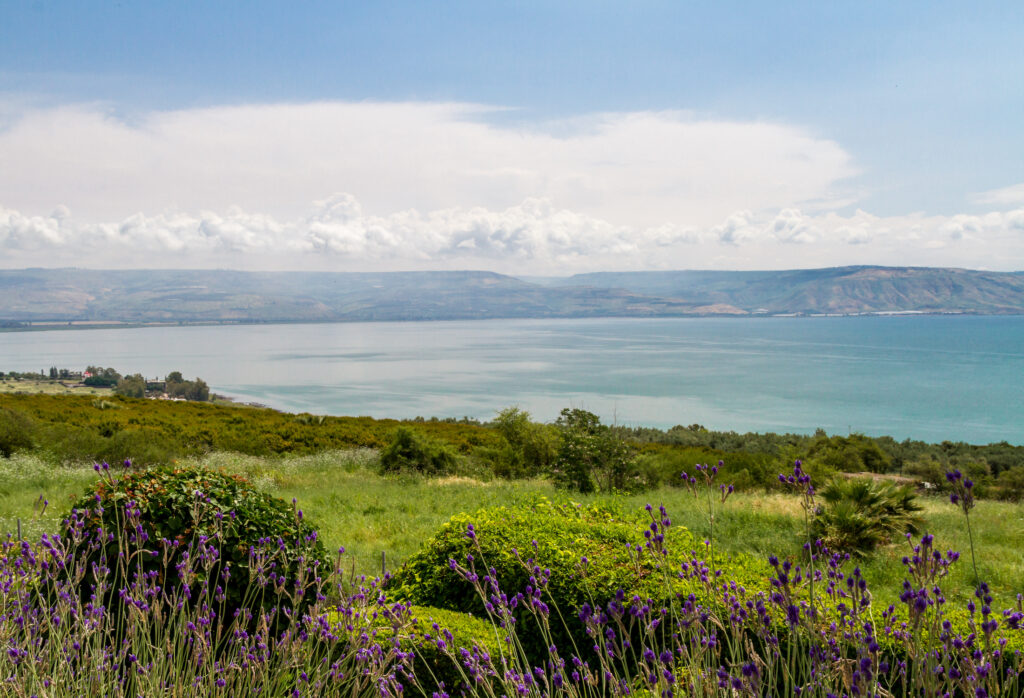 Weekly Q&A: What was the Galilee of Jesus like? - CBN Israel