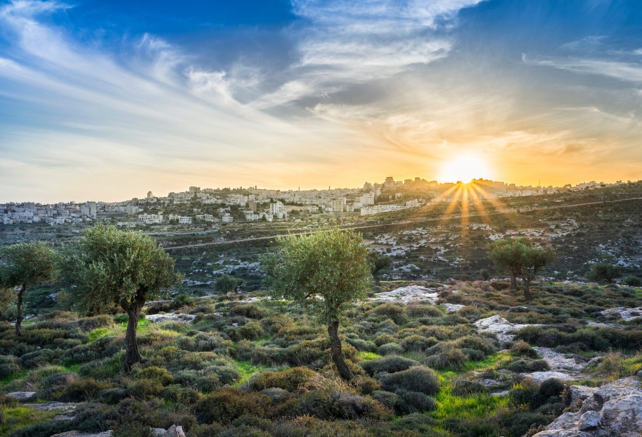 Bethlehem: Where Promise Became Flesh - CBN Israel